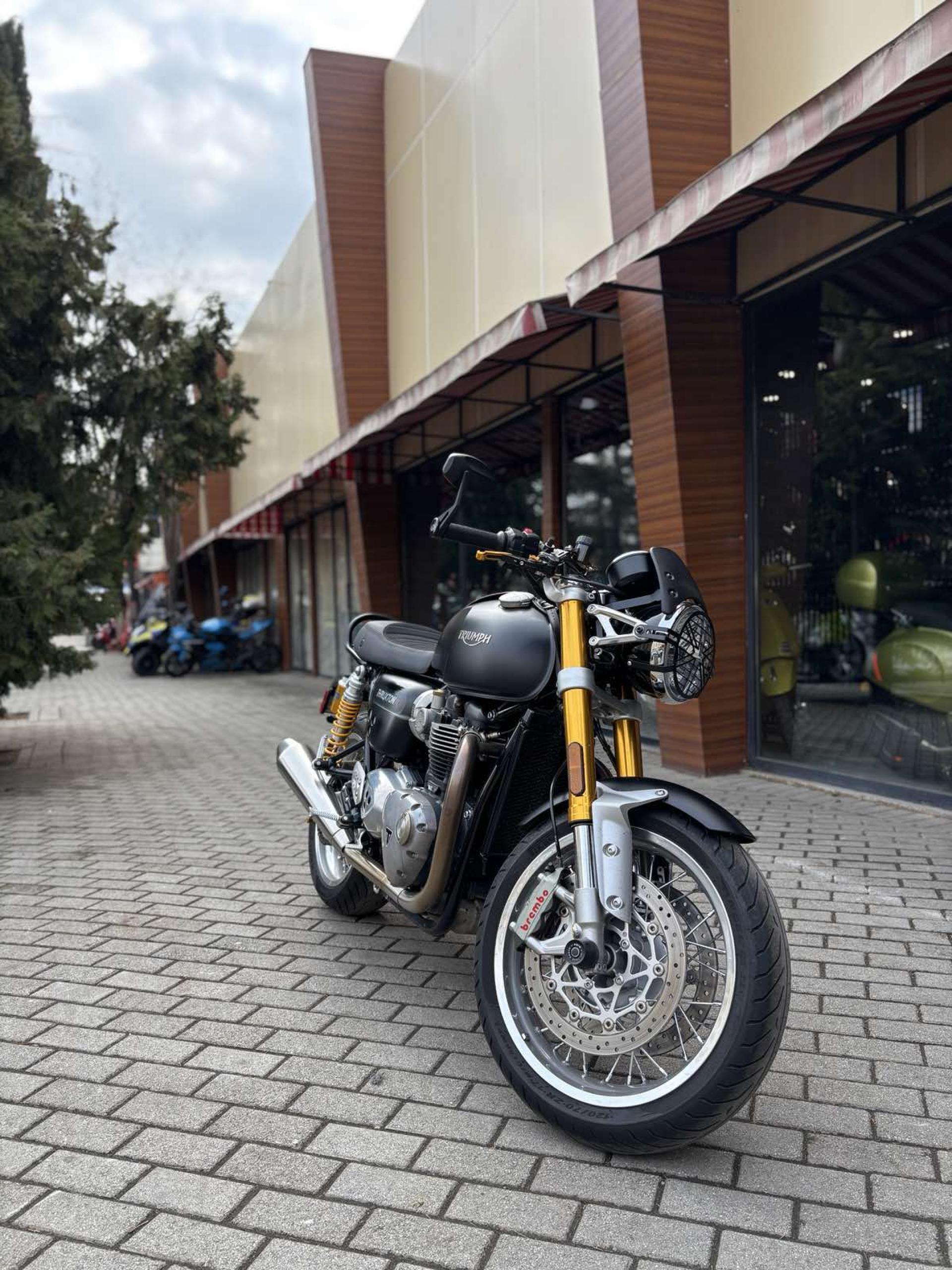 TRIUMPH THRUXTON R TRIUMPH 25000 GEL